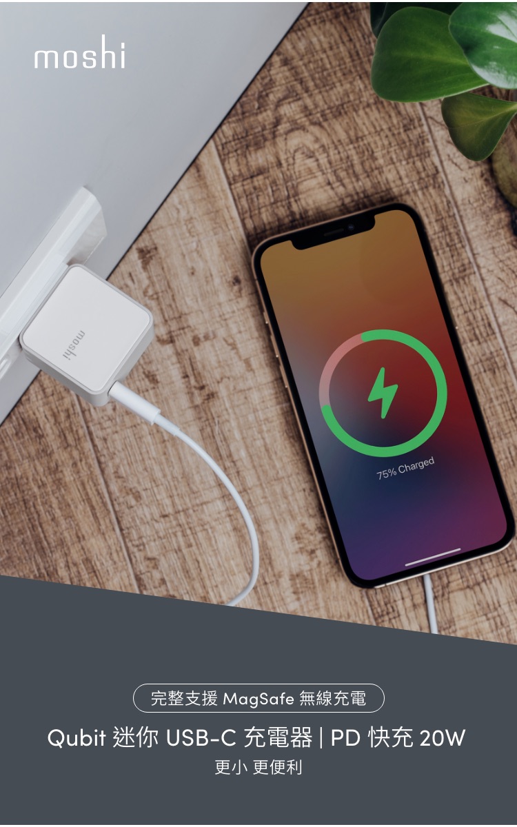 moshi Qubit 迷你 USB-C 充電器 (PD 快充20W) - Hami Point品牌館